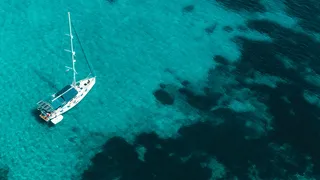 World Oceans Day 2021:The project you should support for ocean conservation